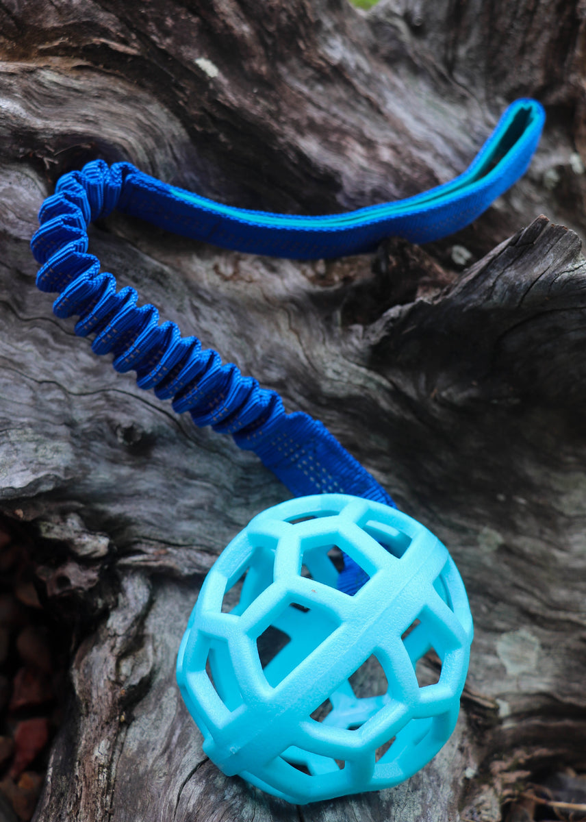 SALTY MUTTS - HOLEY MOLEY BUNGEE BALL – Einzweck Dogquip