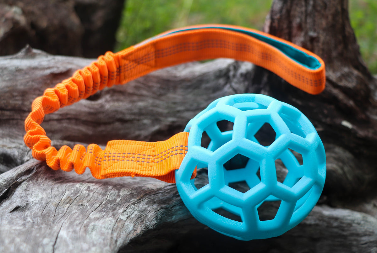 SALTY MUTTS - HOLEY MOLEY BUNGEE BALL – Einzweck Dogquip